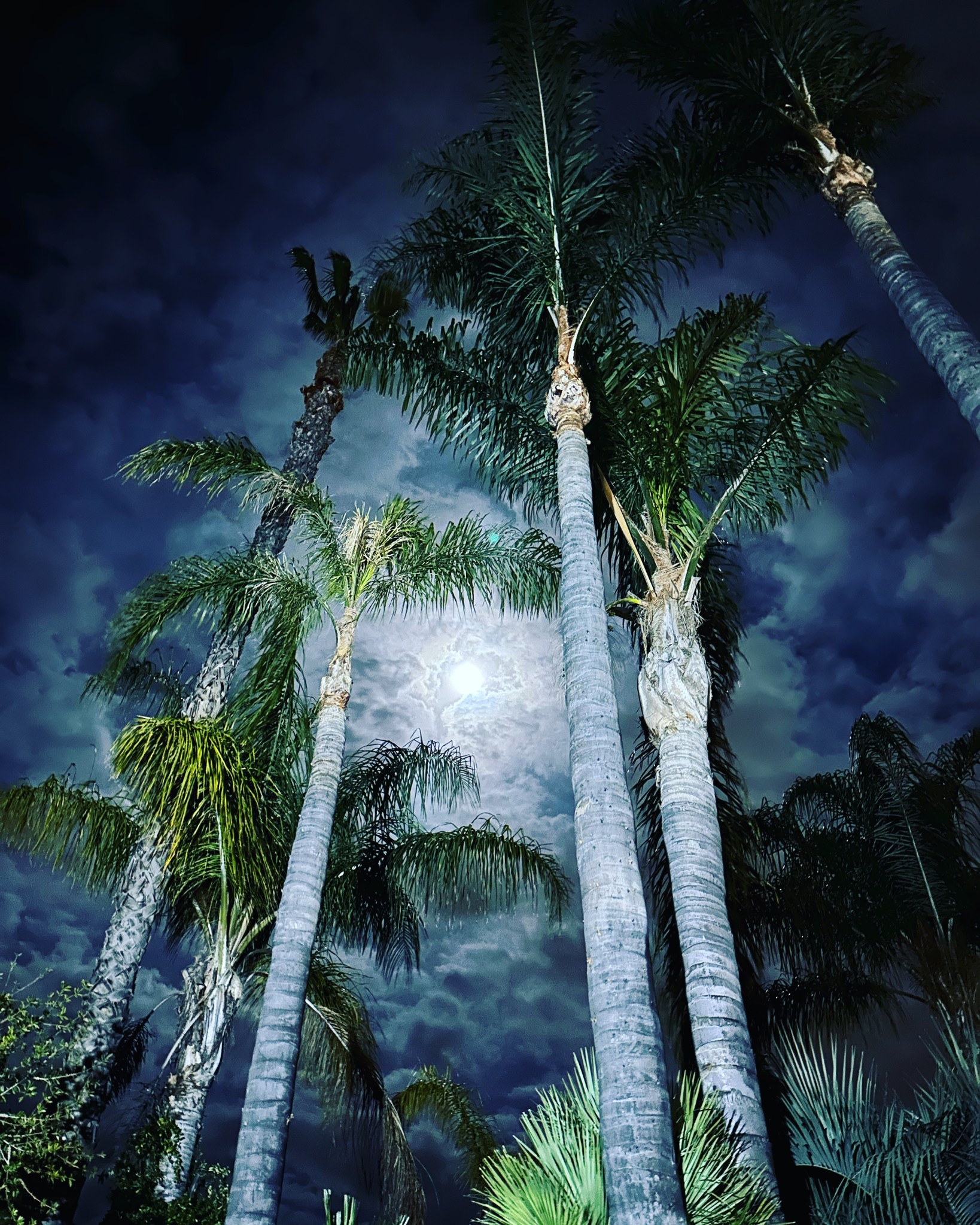 Seek Refuge and Support from the Storms of Life – Jennifer Hyatt